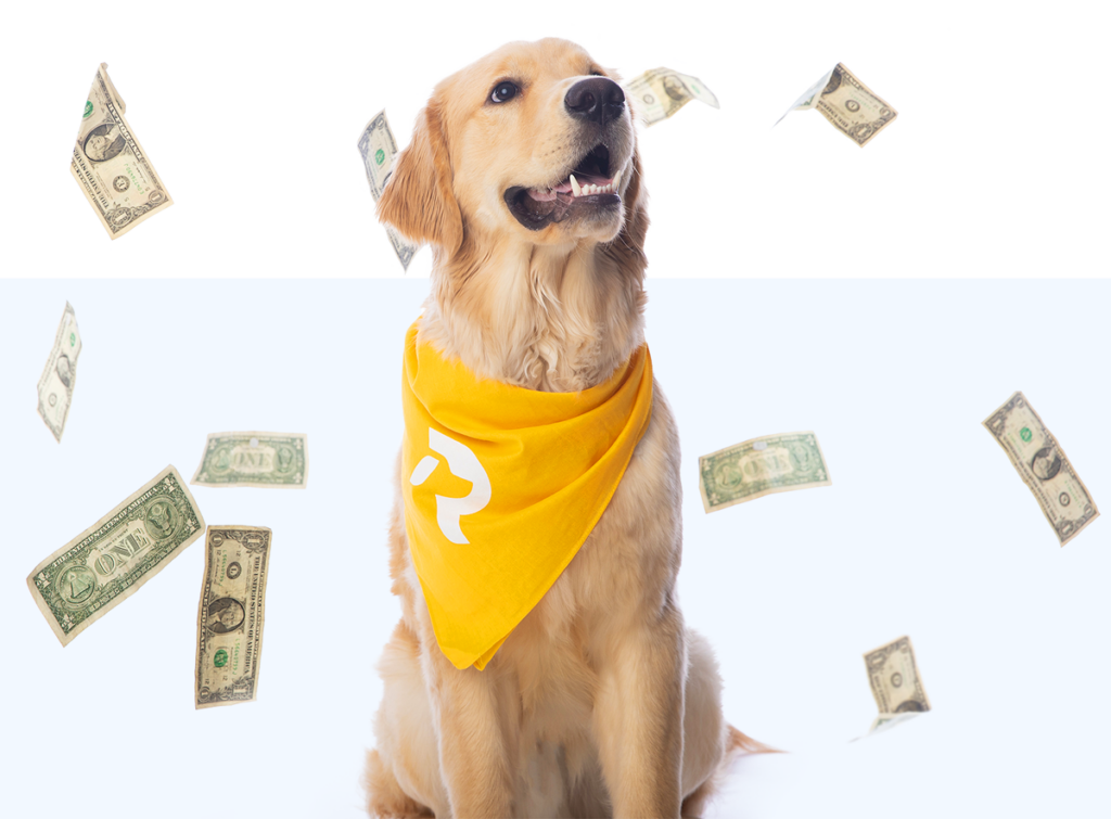 How Car Insurance Comparison Sites Work - Best and Worst Sites to Compare